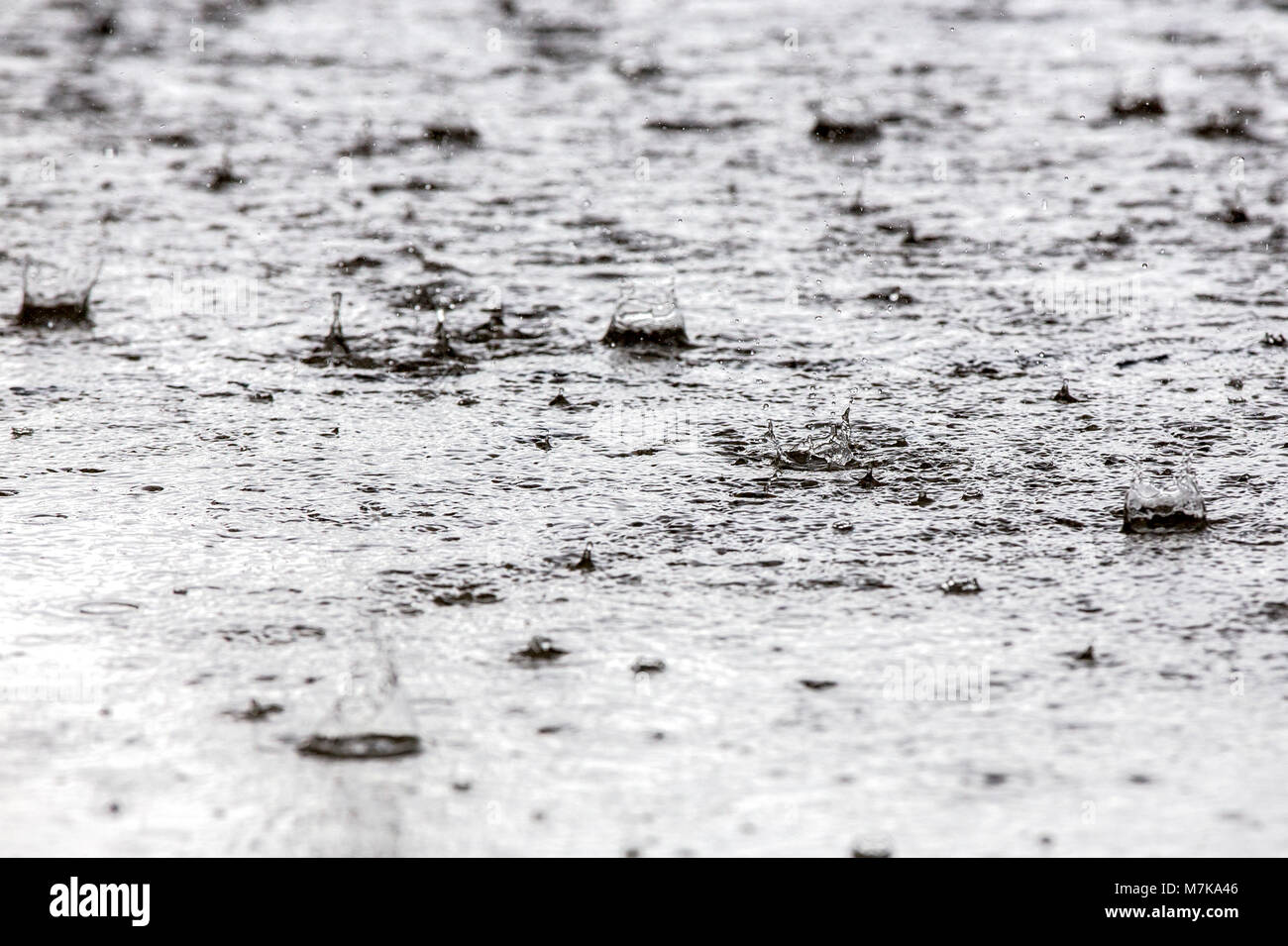 Rain vector transparent hi-res stock photography and images - Alamy