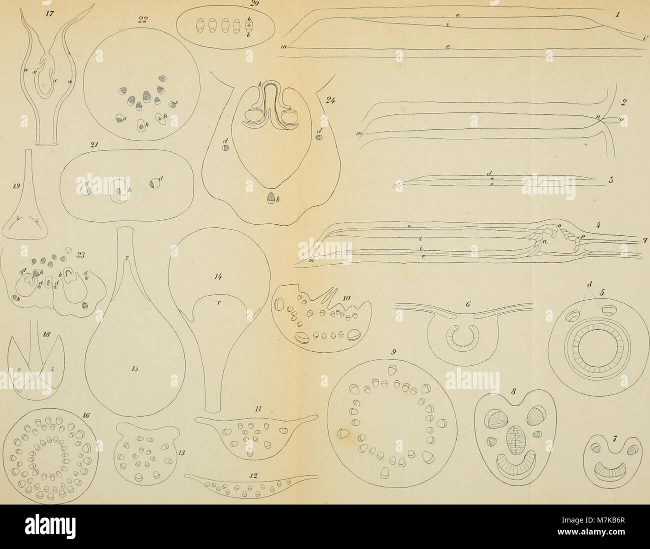 Natural science journals hi-res stock photography and images - Alamy