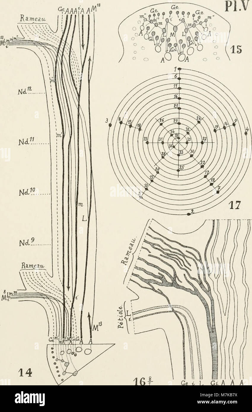 The Archives of the Botanical Institute at the University of Liège ...