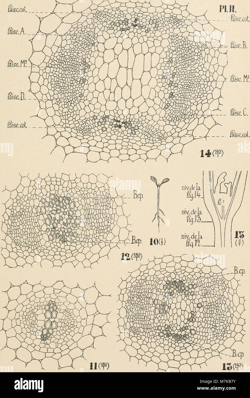 The Botanical Institute Archives at the University of Liège, starting ...