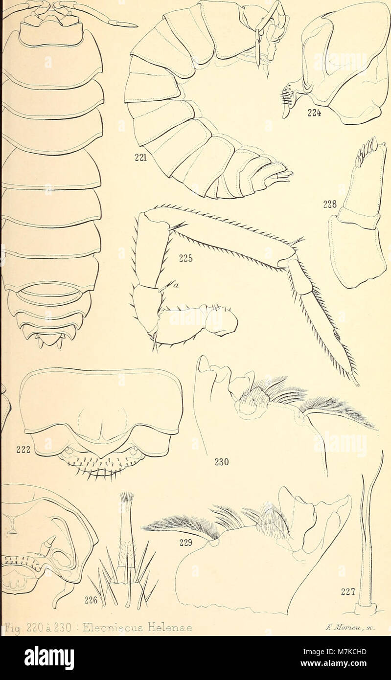 The 1907 edition of *Archives de zoologie expérimentale et générale ...