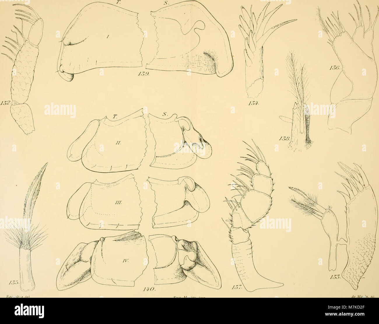 A 1912 edition of the Archives of Experimental and General Zoology, a ...