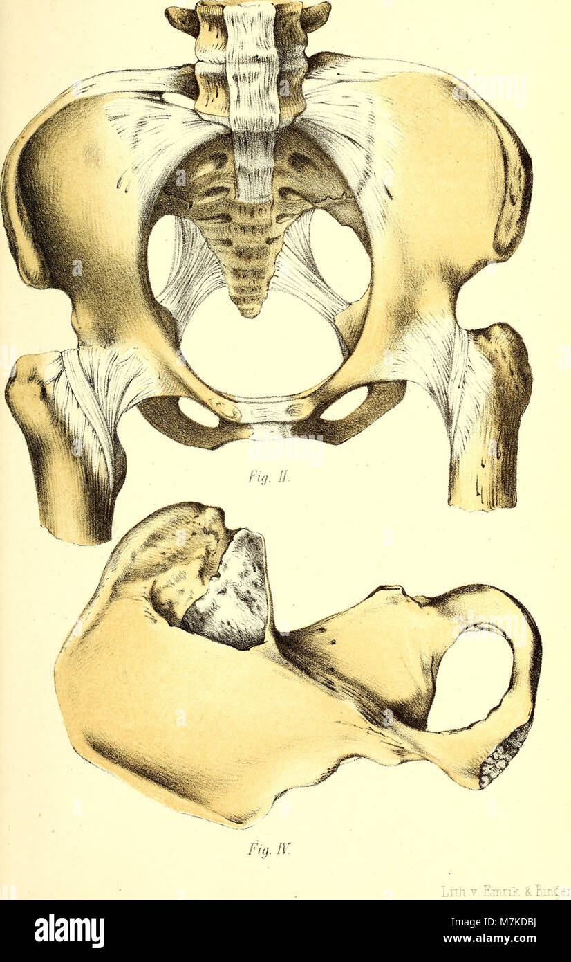 A 1866 publication from the Dutch Archives of Exact and Natural ...