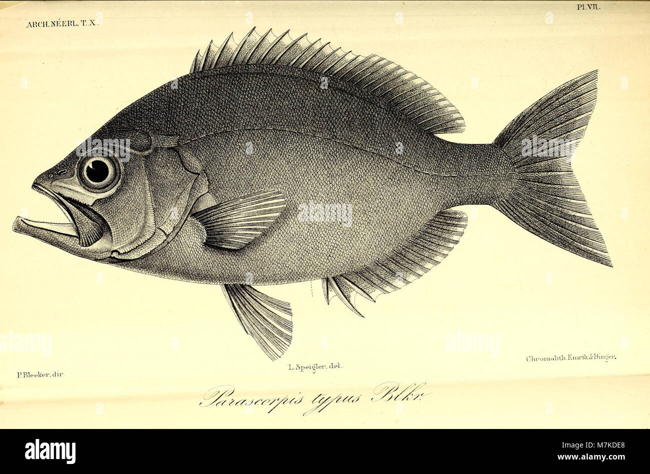 The 'Dutch Archives of Exact and Natural Sciences' from 1875 provides ...