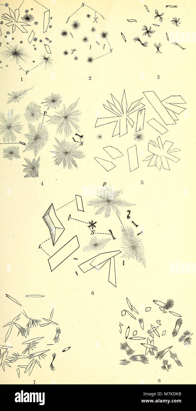 A 1901 scientific publication from the Dutch Archives of Exact and ...