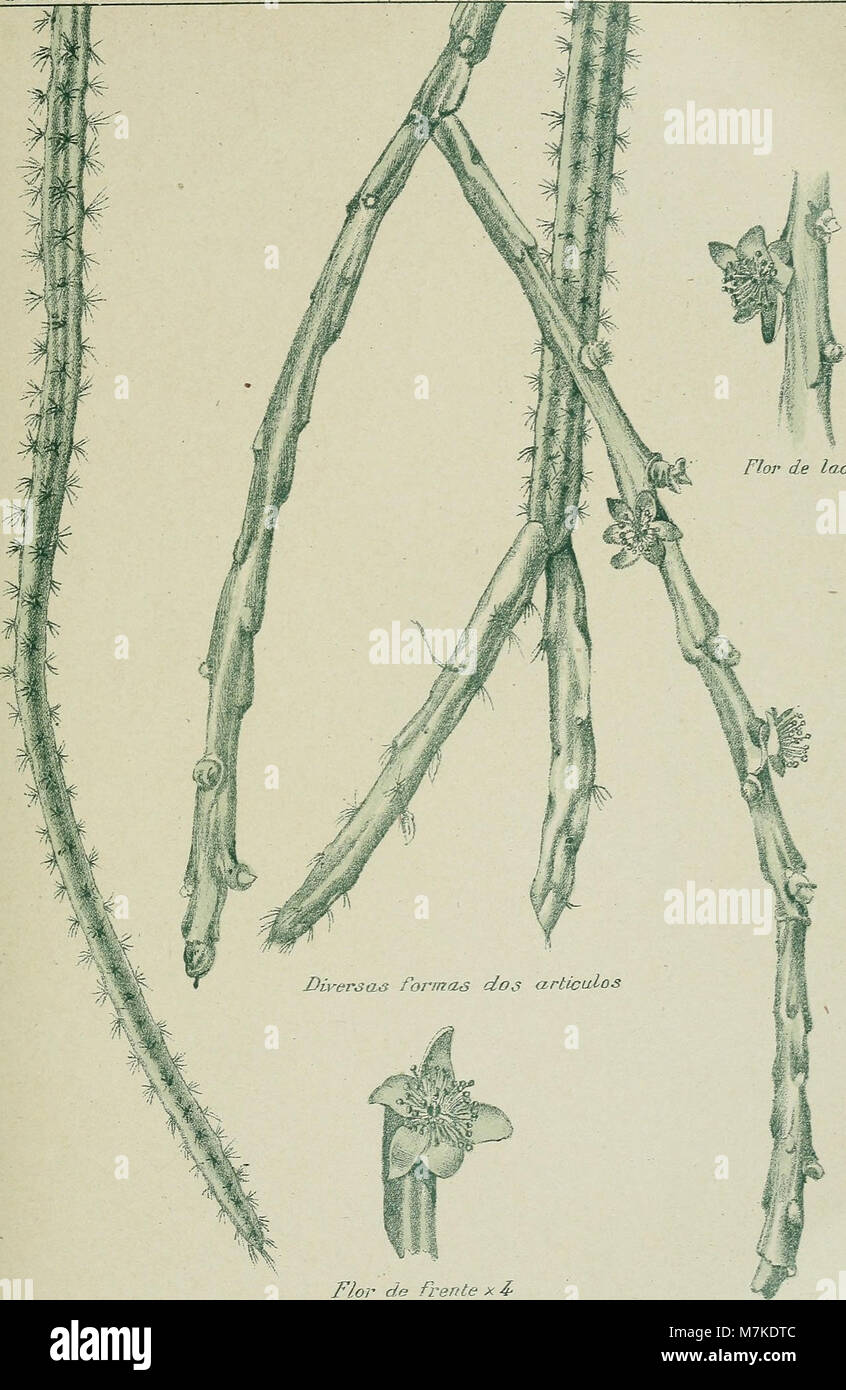 A historical document from the archives of the Botanical Garden of Rio ...