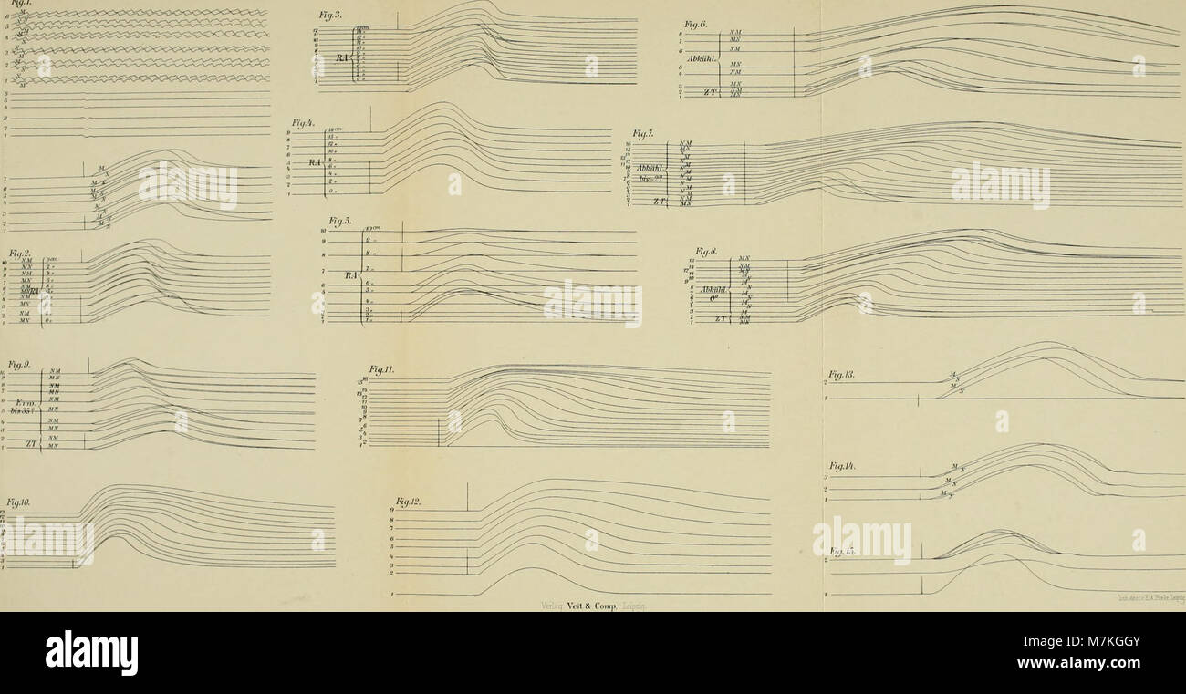 An image from the 'Archiv für Physiologie', a scientific journal from ...