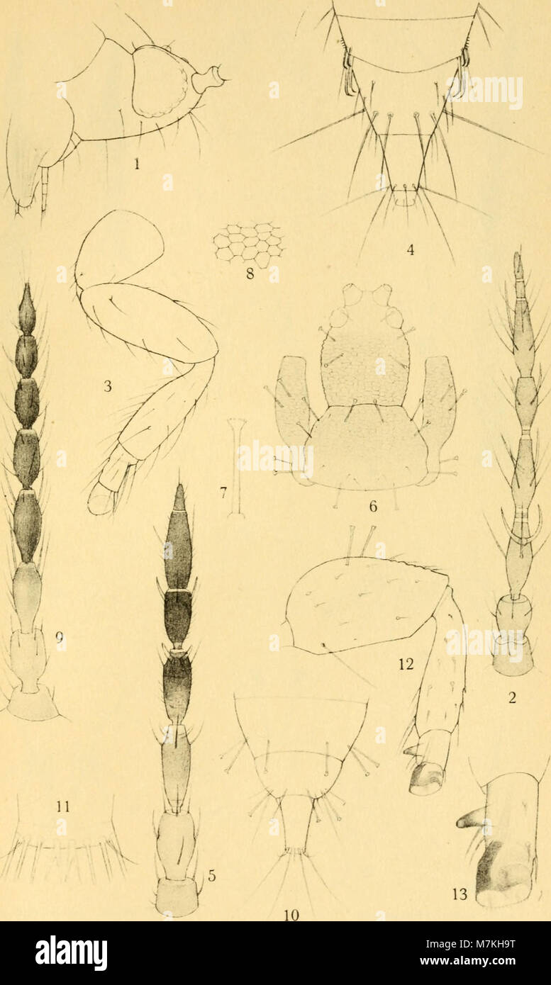 An archive of zoology journals from 1911-1913, documenting the ...