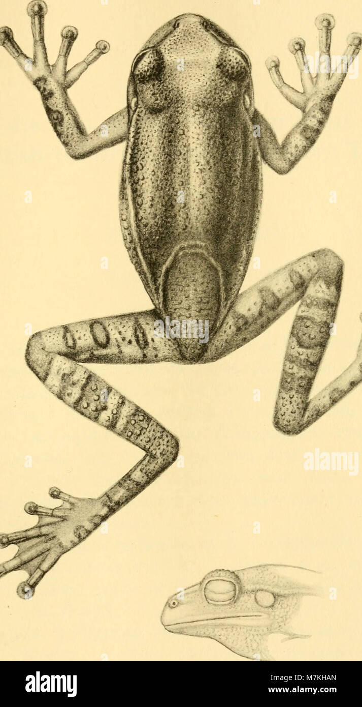 'Arkiv för Zoologi' (1911-1913) is a journal dedicated to zoological ...