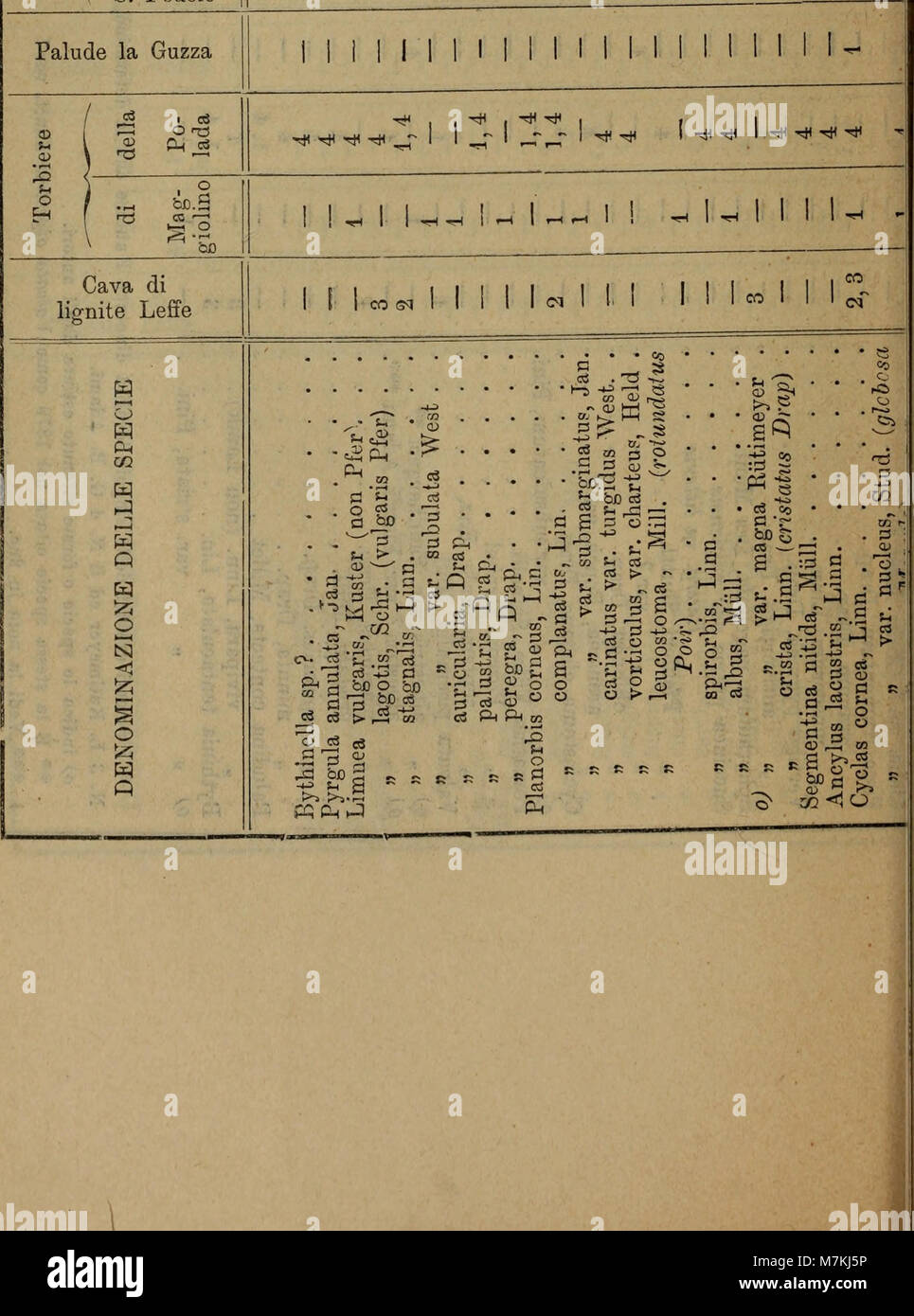 A publication from the Italian Society of Natural Sciences in 1883 ...