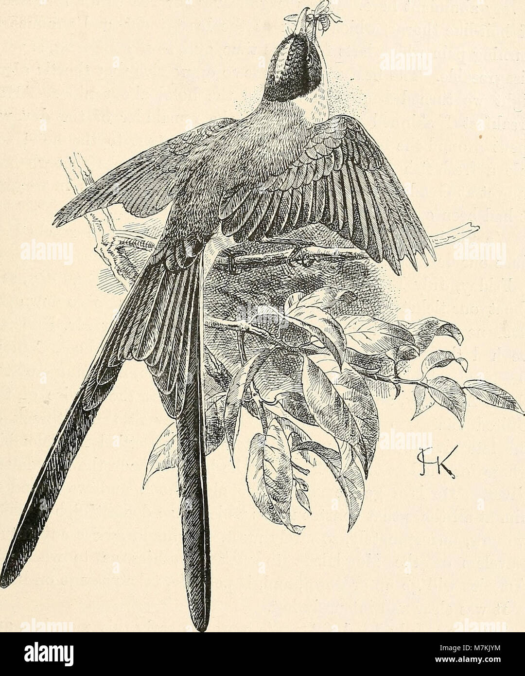 This book records an ornithological expedition in 1892, covering visits ...