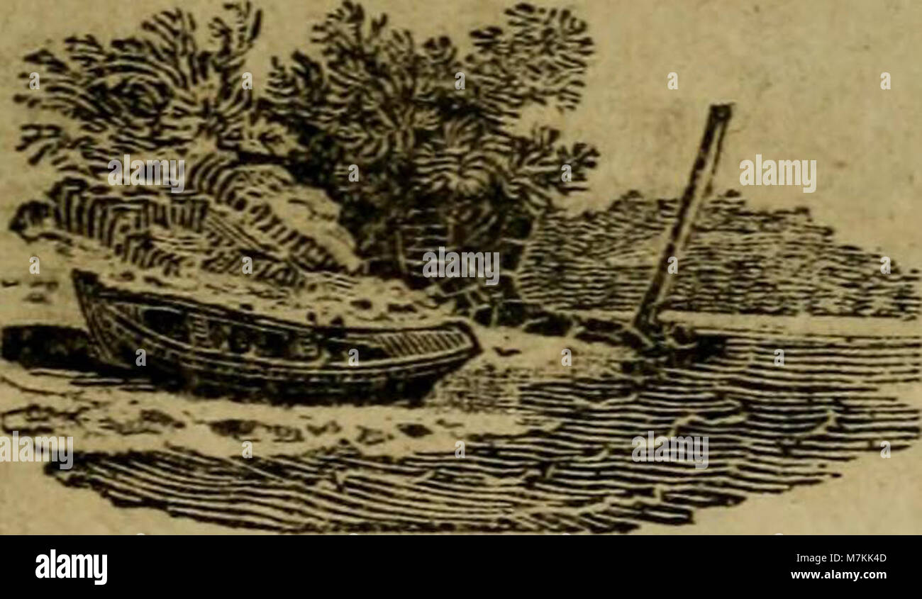 A history of British birds - the figures engraved on wood (1809 ...