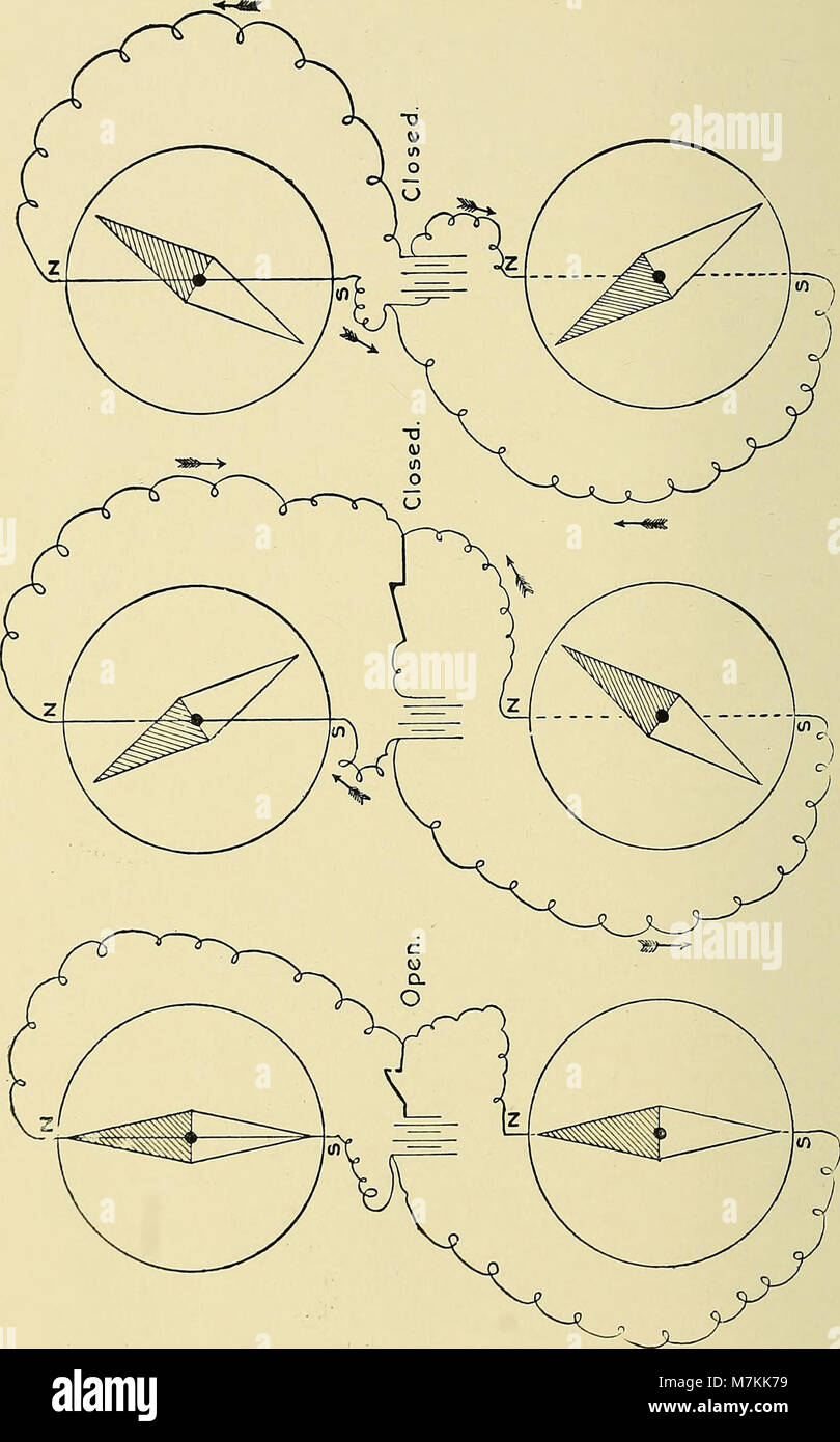 A manual of practical medical electricity - the Röntgen rays and Finsen ...