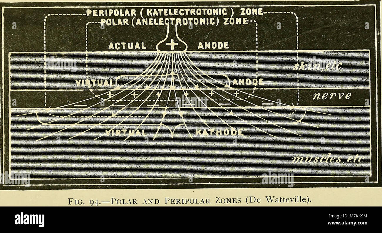 A manual of practical medical electricity - the Röntgen rays and Finsen ...