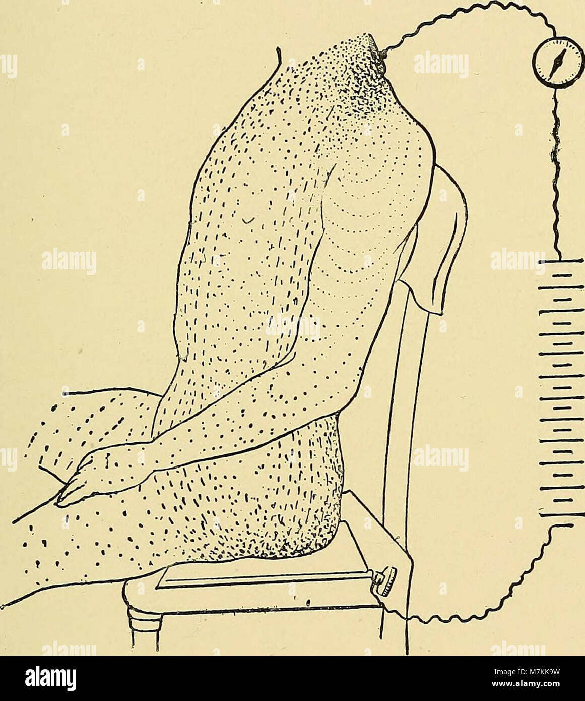 A manual of practical medical electricity - the Röntgen rays and Finsen ...