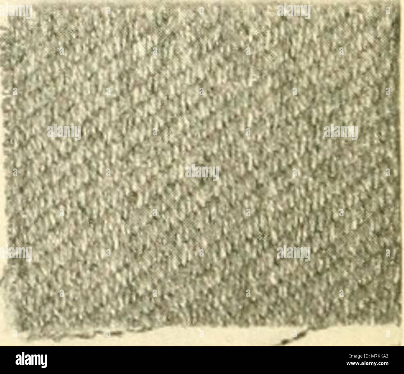 A manual of weave construction; a systematic arrangement and ...