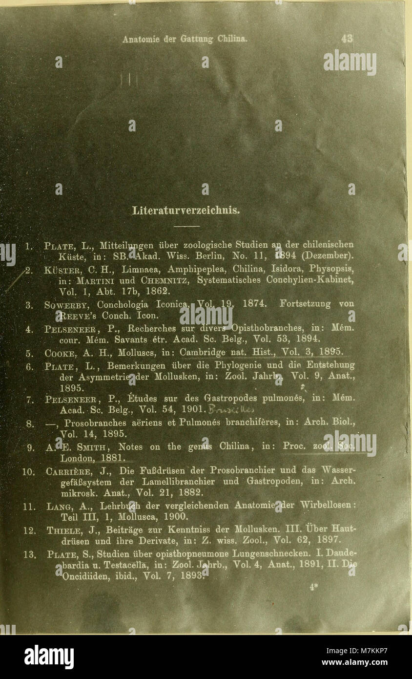 Chilina hi-res stock photography and images - Alamy