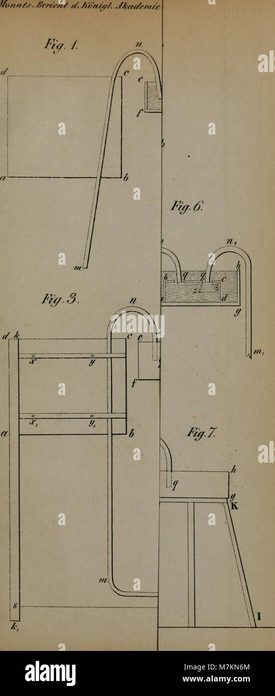 The 1858 report from the Royal Prussian Academy of Sciences in Berlin ...