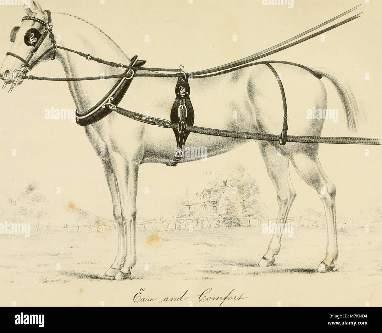 Stable maintenance guide hi-res stock photography and images - Alamy