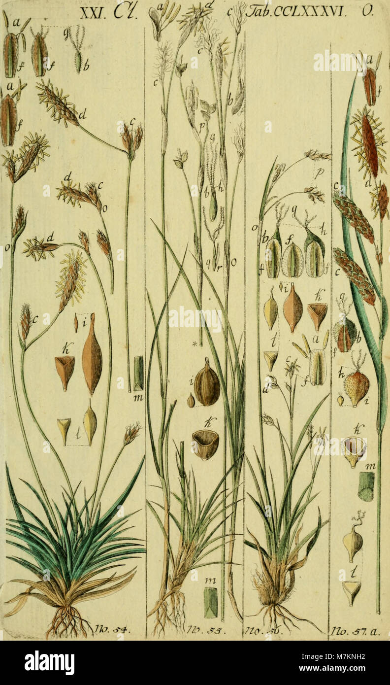 This publication describes and illustrates both previously known and ...