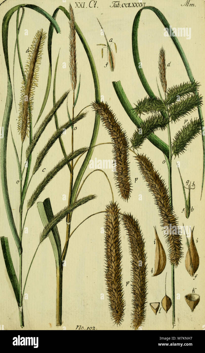 This work provides a detailed description and illustration of various ...
