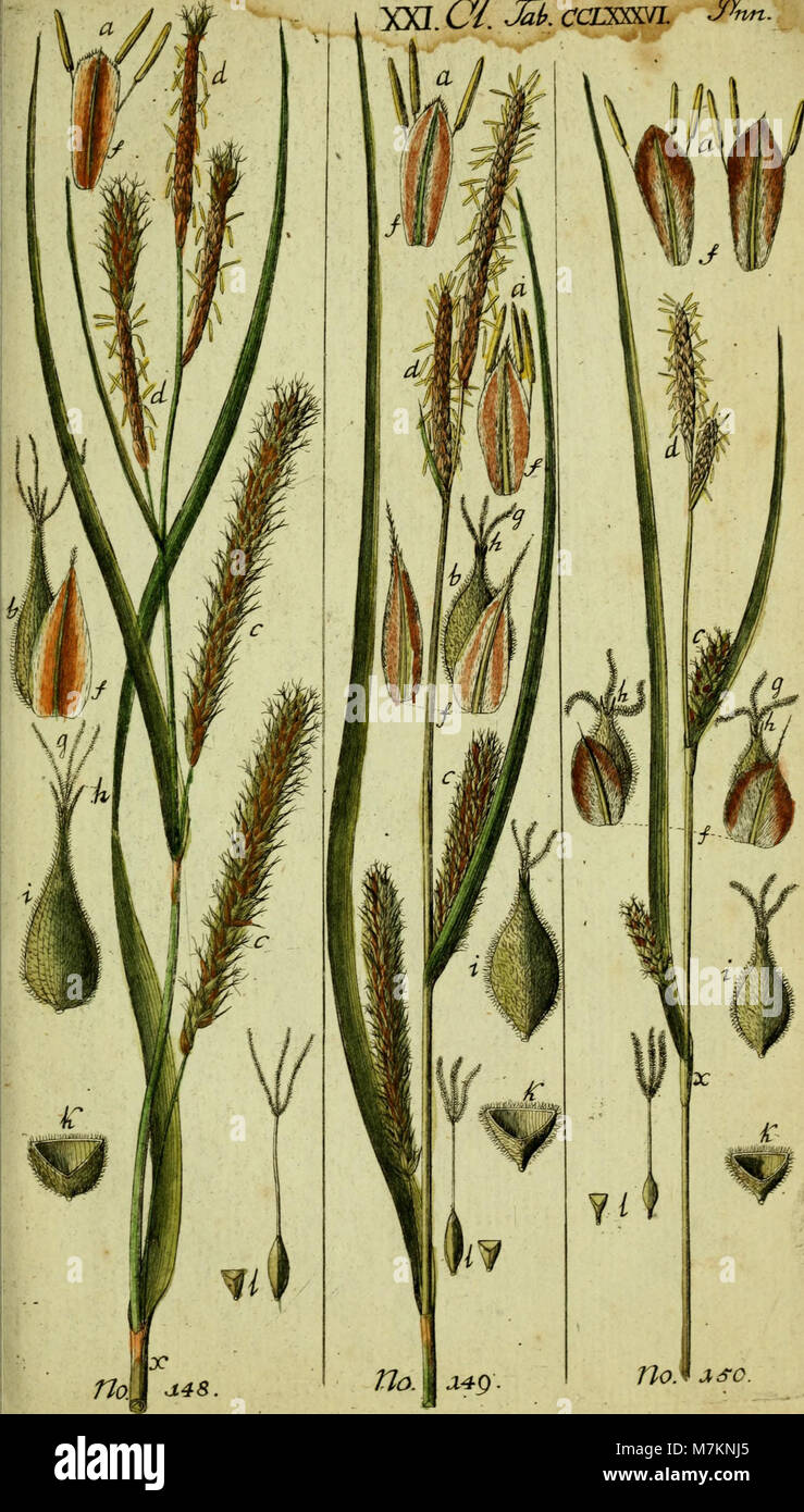 This work describes and illustrates known and previously unclassified ...