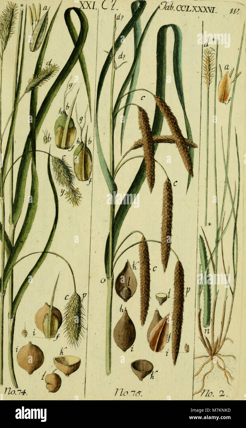 This work provides a detailed description and illustration of various ...