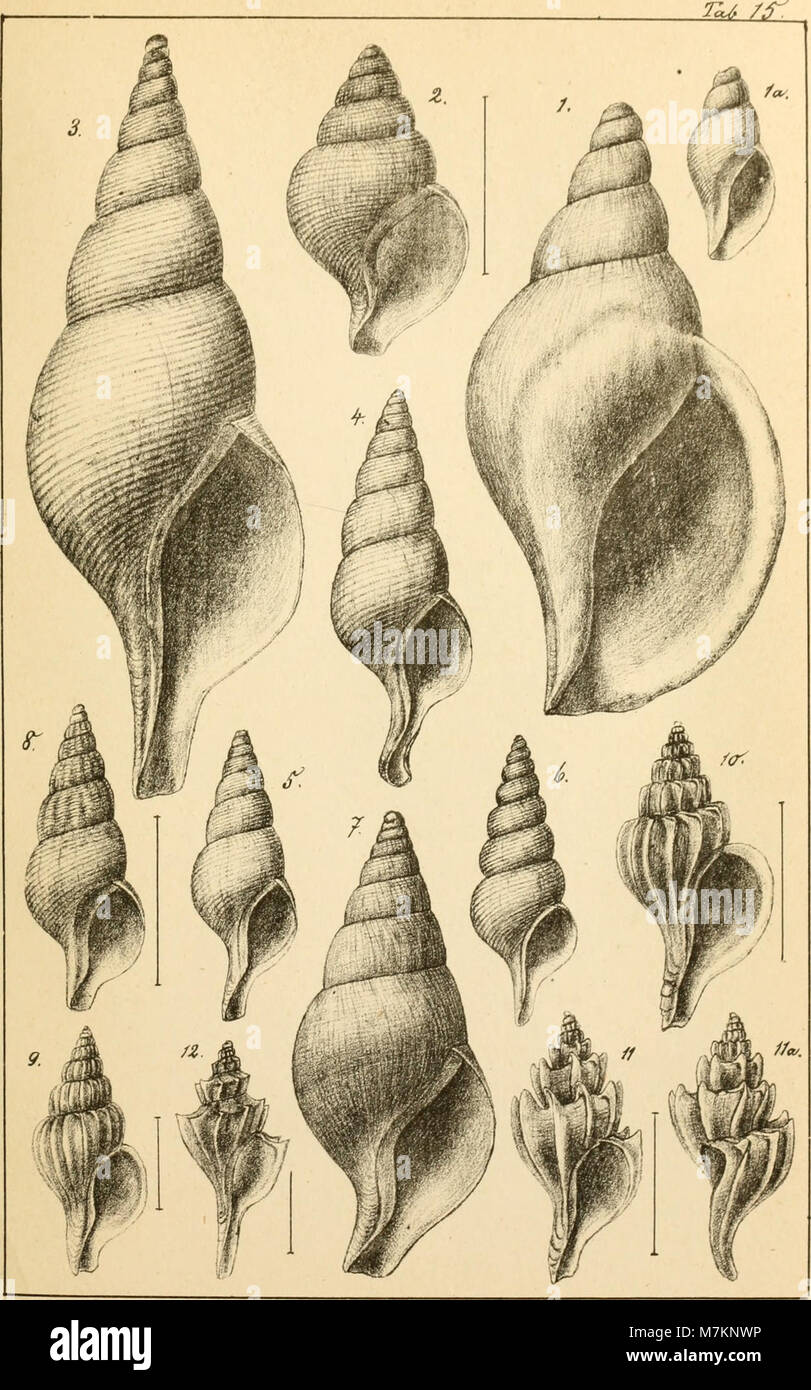 Bidrag til kundskaben om norges arktiske fauna. oversigt over de i ...