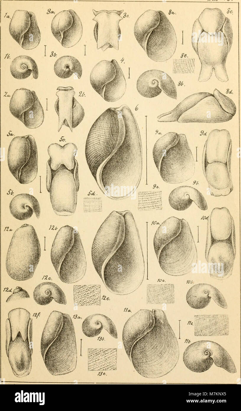 Bidrag til kundskaben om norges arktiske fauna. oversigt over de i ...