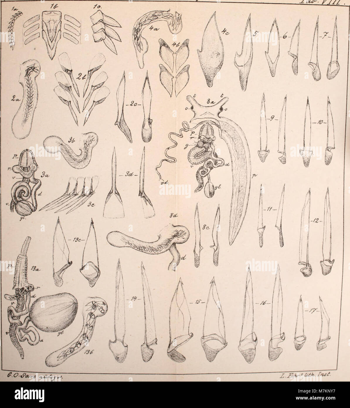 Bidrag til kundskaben om norges arktiske fauna. oversigt over de i ...