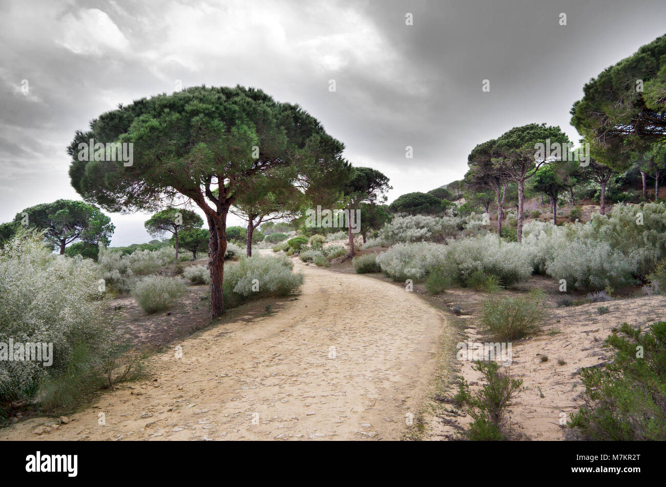 Breña y Marismas de Barbate Natural Park is the 2nd largest coastal ...