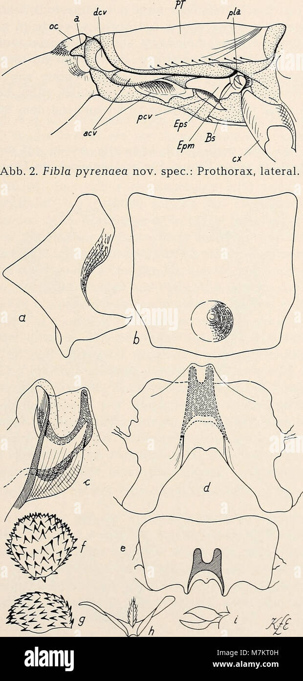 A publication by the Zoological Research Institute and Museum Alexander ...
