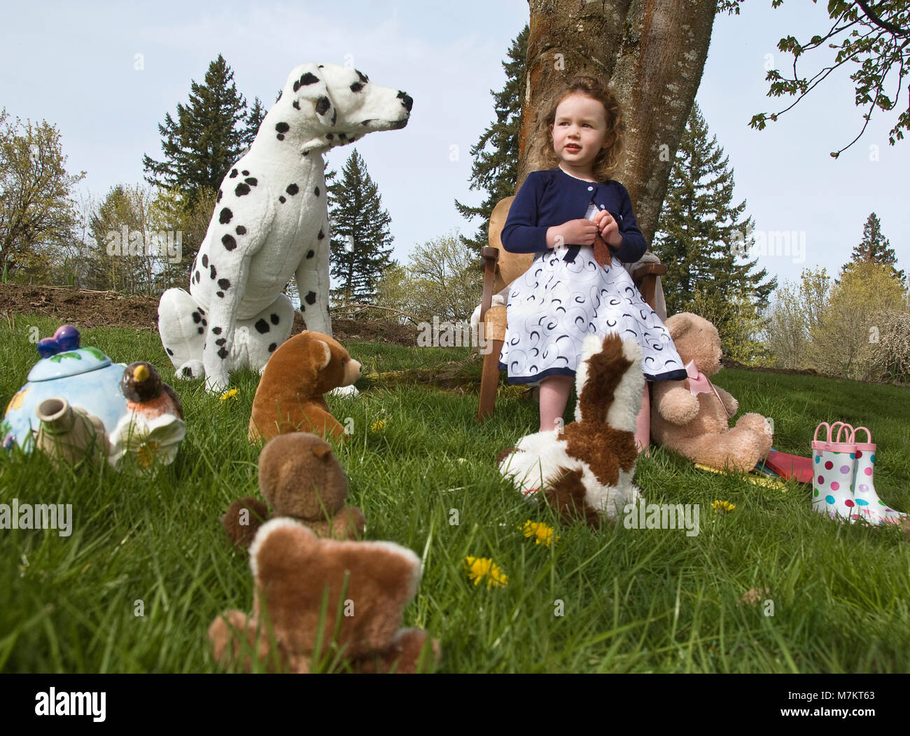 Three stuffed animals hi-res stock photography and images - Alamy