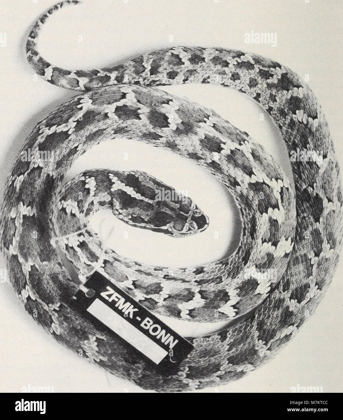 Published by the Zoological Research Institute and Museum Alexander ...