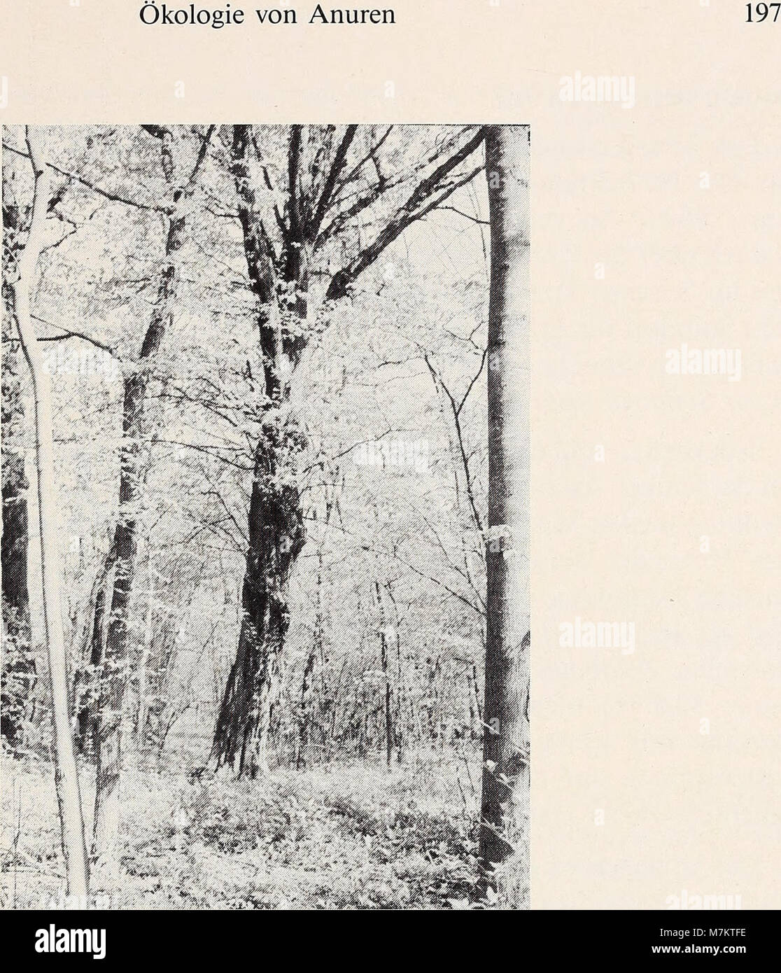 A publication by the Bonn Zoological Institute and Museum Alexander ...