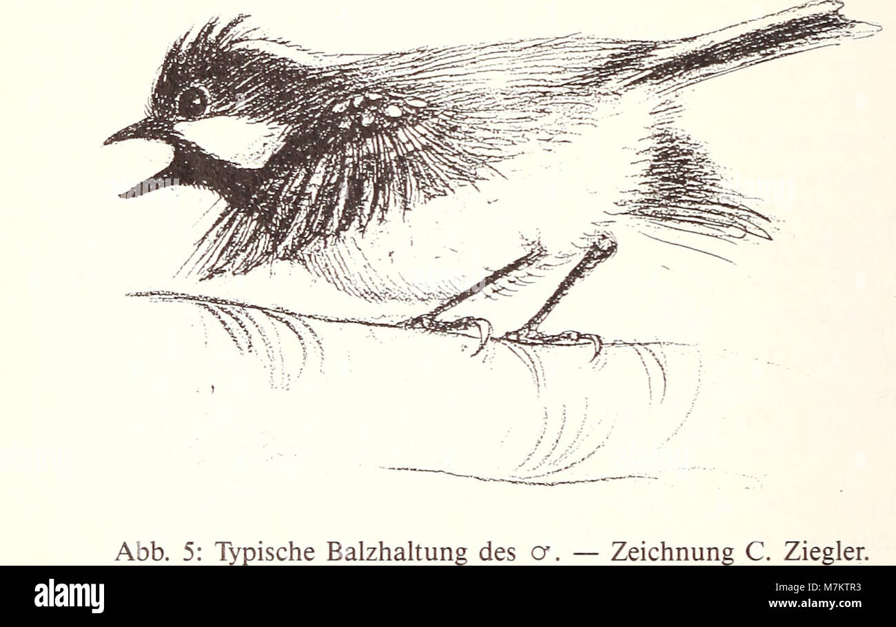 A publication from the Zoological Research Institute and Museum ...