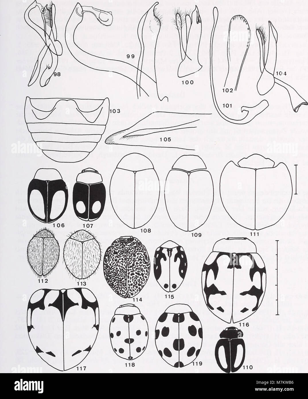This publication from the Museum Alexander Koenig presents research in ...