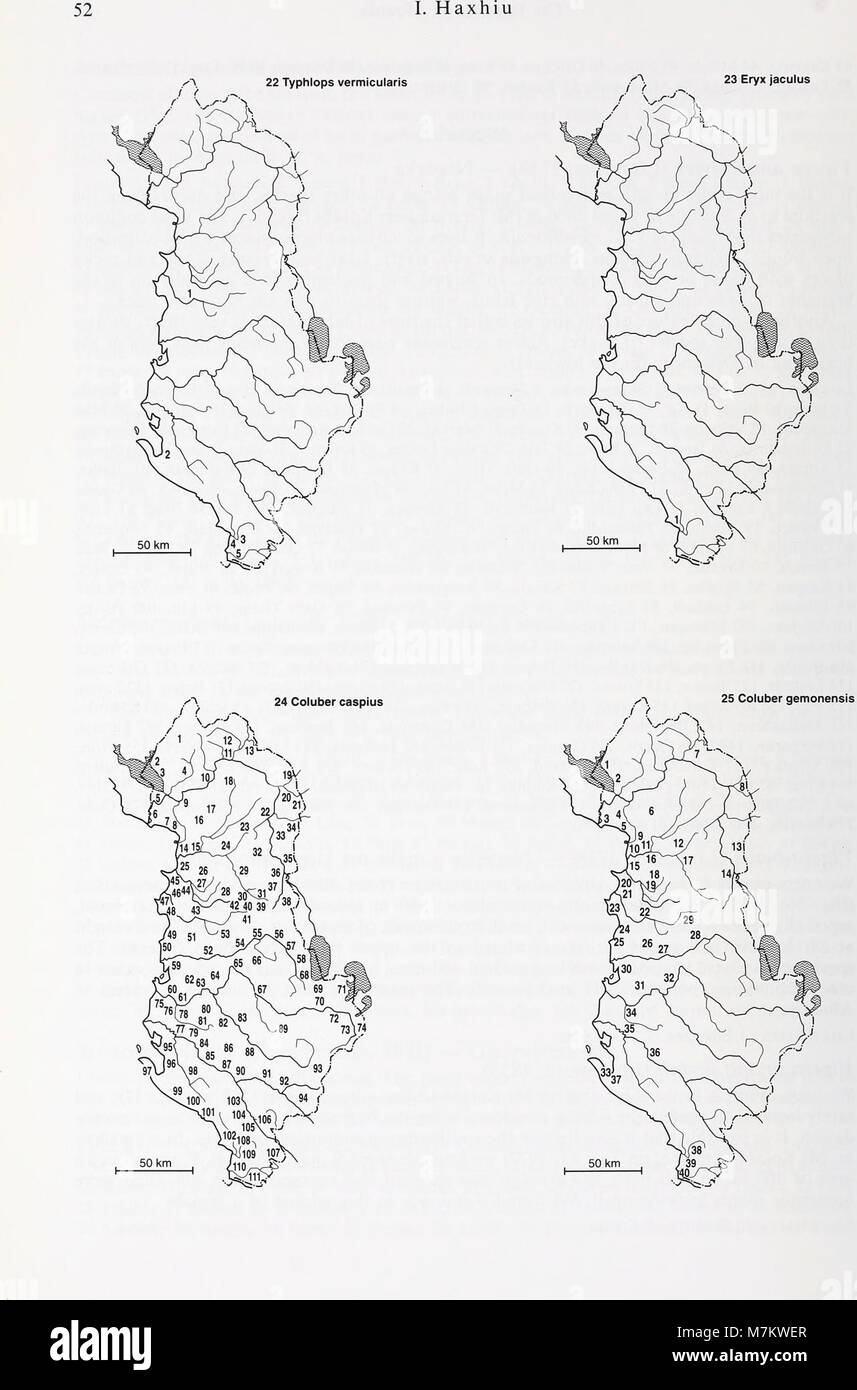 The 1998 publication from the Museum Alexander Koenig in Bonn presents ...