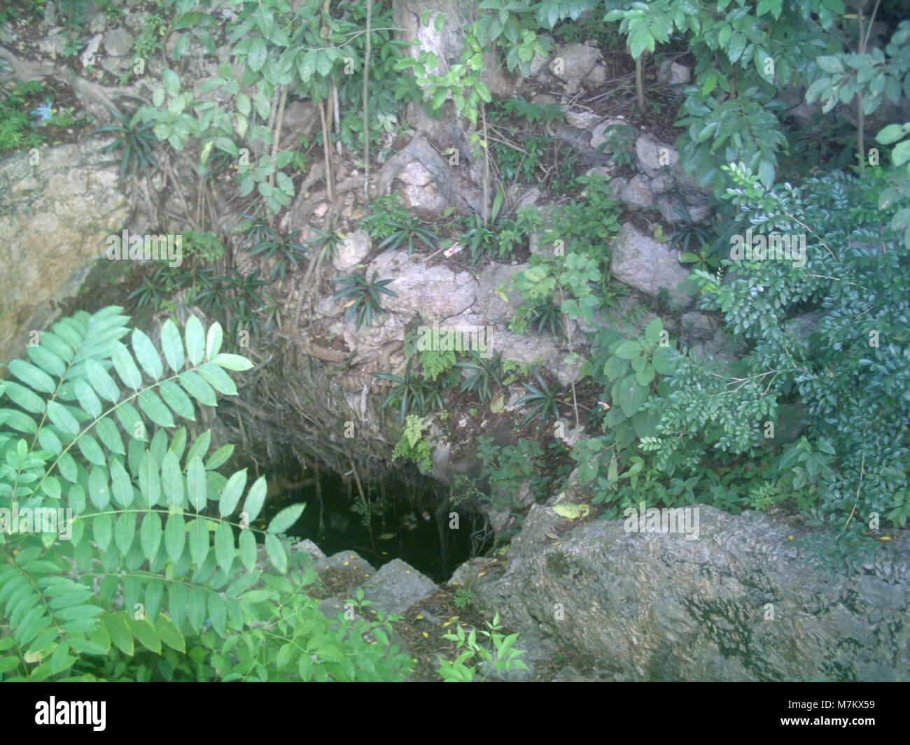 Cenote del Parque de Cholul, Yucatán (01 Stock Photo - Alamy