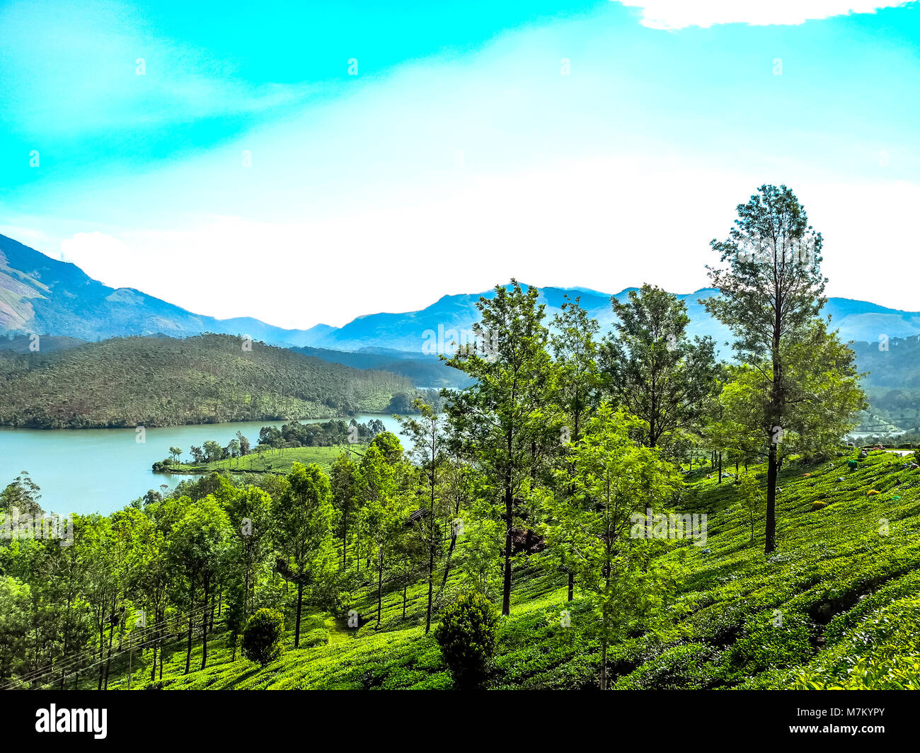 THEKKADI, KERALA, INDIA - DEC. 15 2011: Beautiful landscape with ...