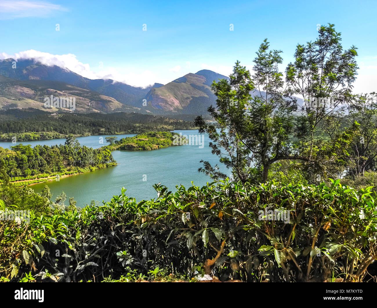 THEKKADI, KERALA, INDIA - DEC. 15 2011: Beautiful landscape with ...