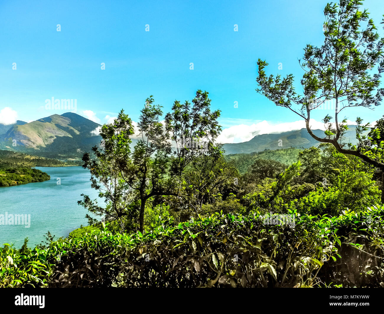 THEKKADI, KERALA, INDIA - DEC. 15 2011: Beautiful landscape with ...