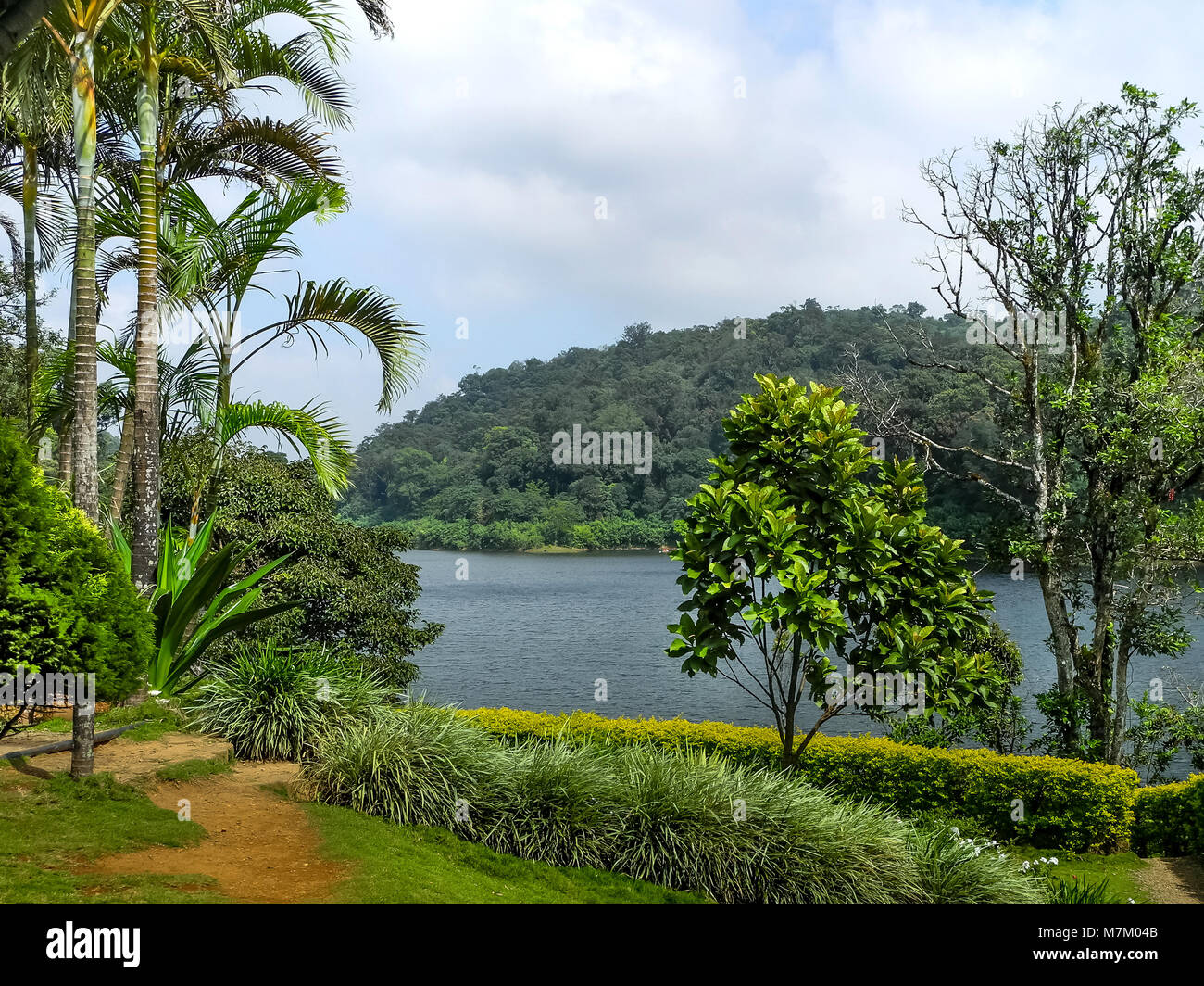 THEKKADI, KERALA, INDIA - DEC. 16 2011: Beautiful landscape with ...