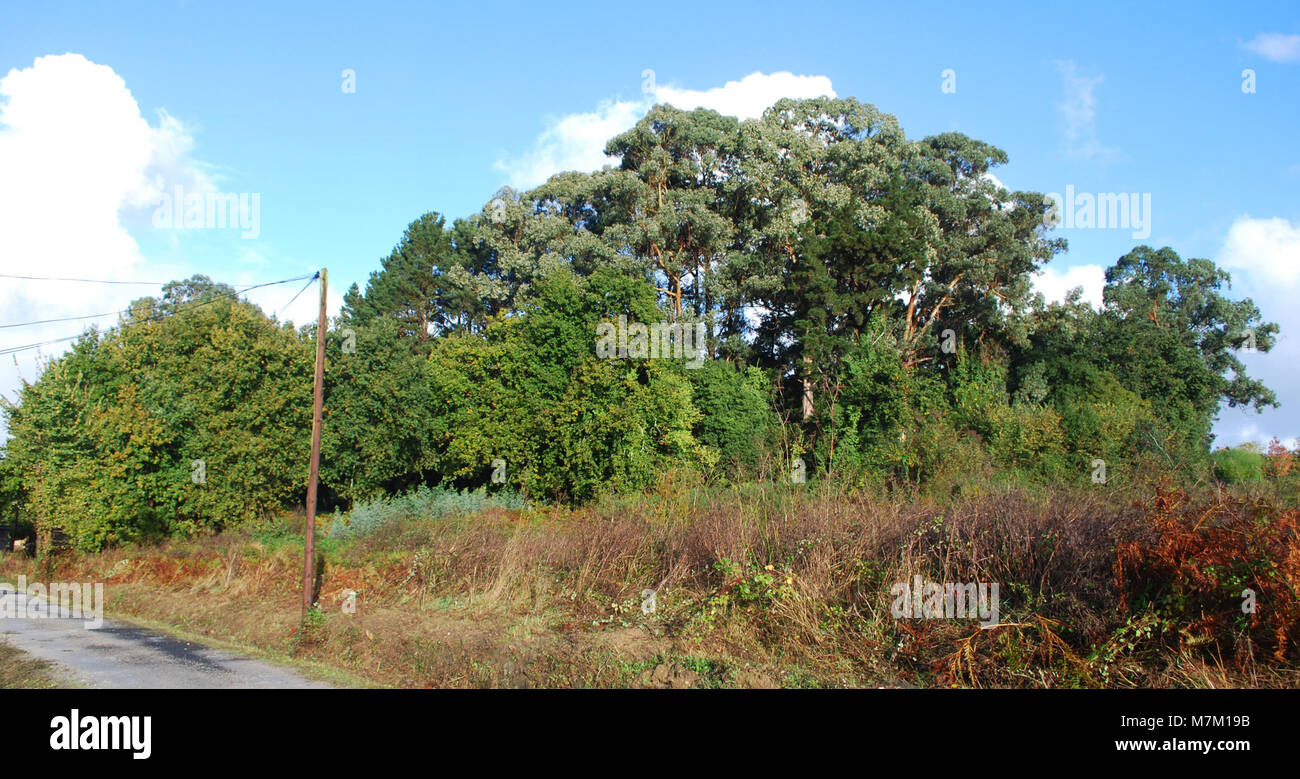 Xaz hi-res stock photography and images - Alamy