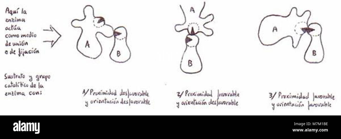 Catálisis hi-res stock photography and images - Alamy