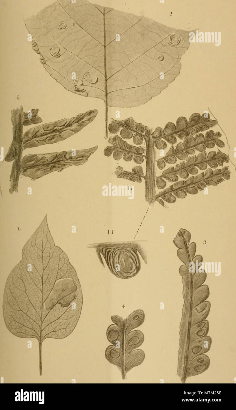 Study focuses on geological hi-res stock photography and images - Alamy