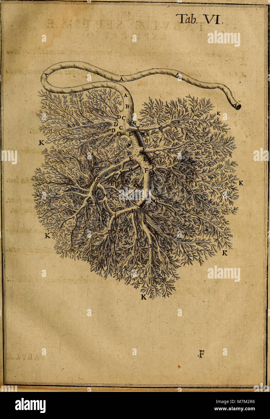 Formato vintage hi-res stock photography and images - Alamy