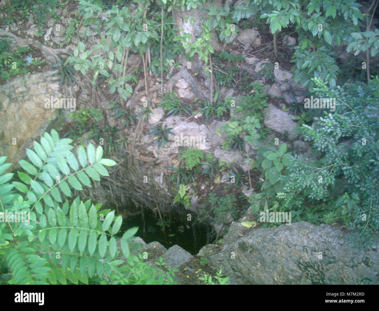 Cenote del Parque de Cholul, Yucatán (02 Stock Photo - Alamy