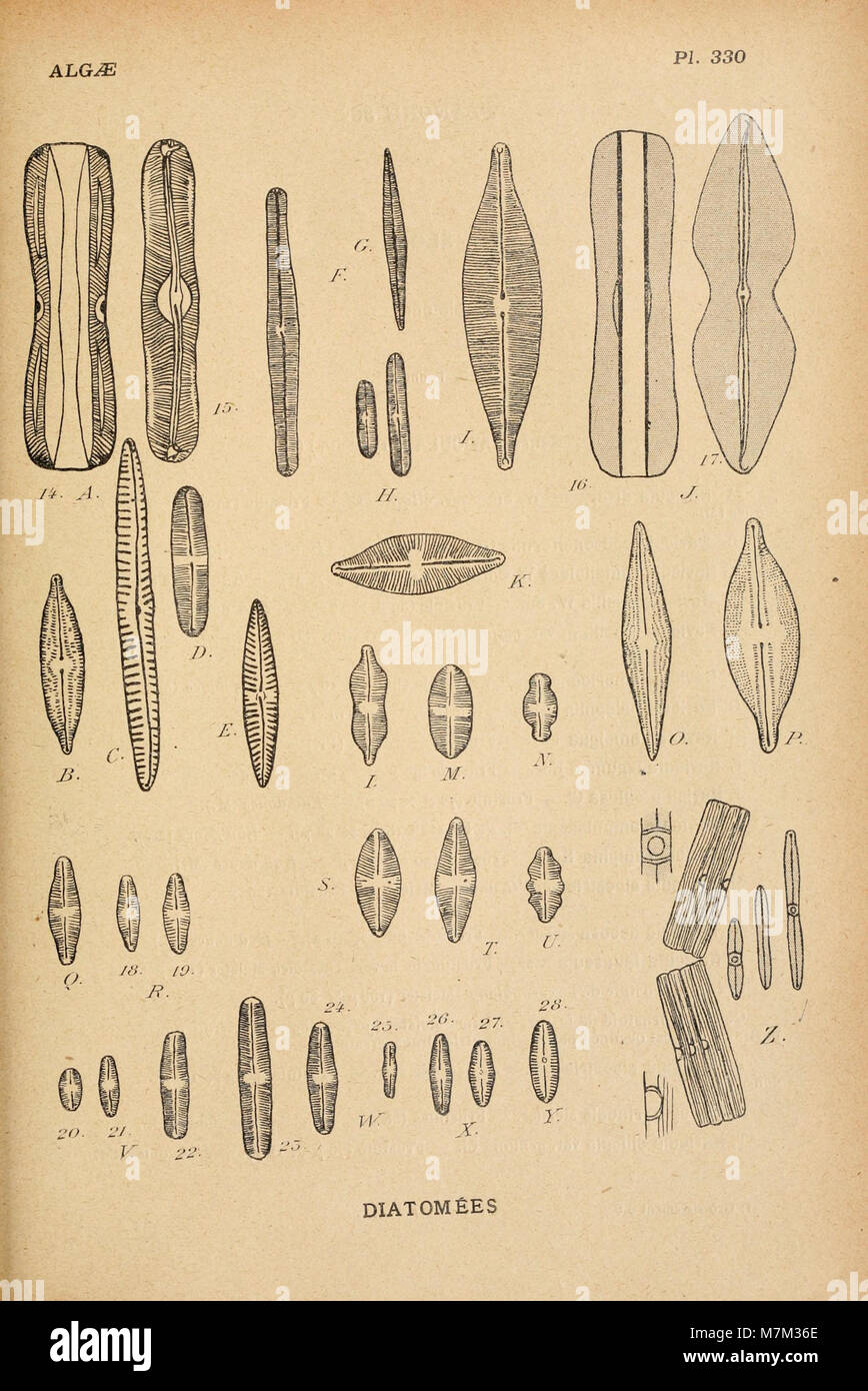 The 'Album général des Cryptogames' is a botanical work that ...