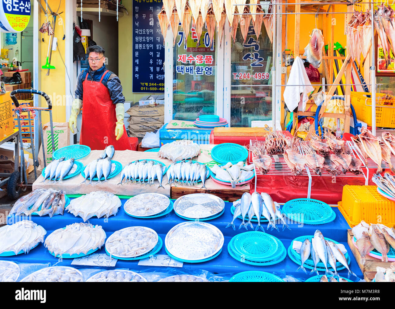Busan, South Korea - March 12, 2016: Seller of raw fish in Fish market ...